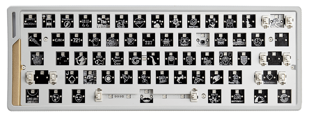Wooting 60HE+ module quickstart